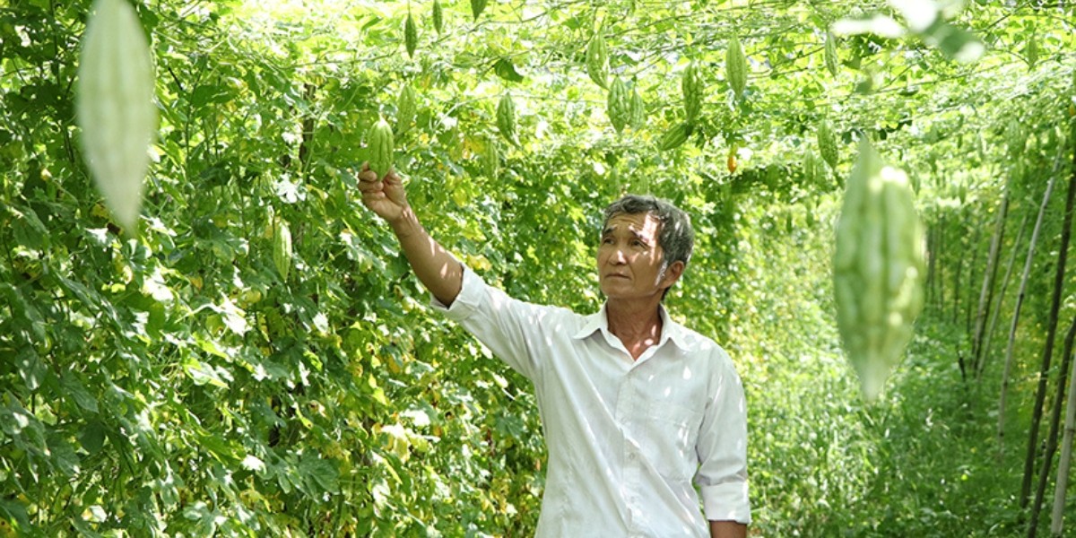 News - Baconco Việt Nam