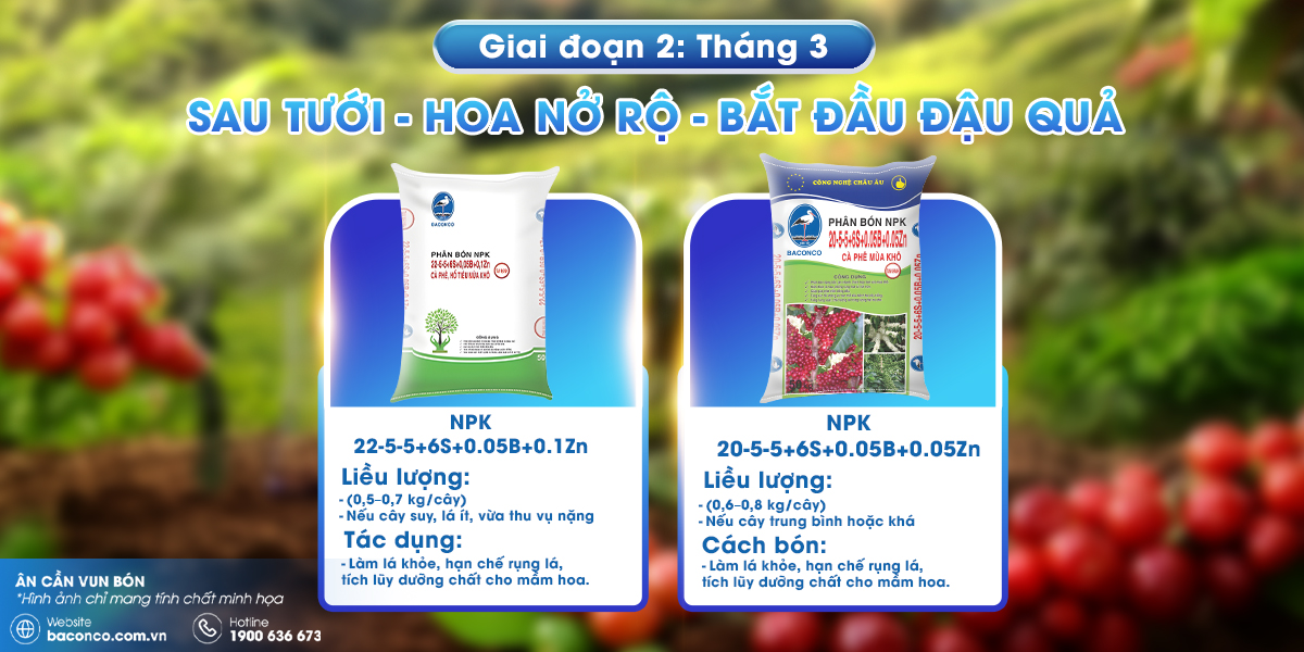 Tin tức - Baconco Việt Nam