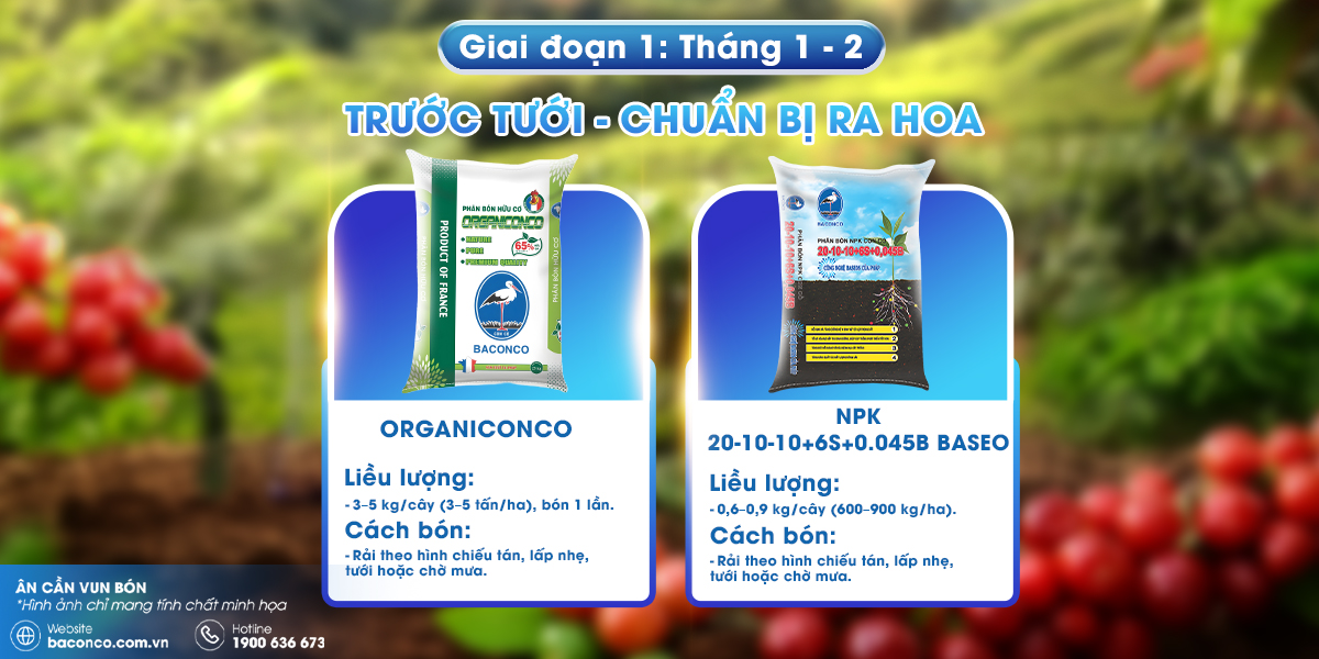 Tin tức - Baconco Việt Nam