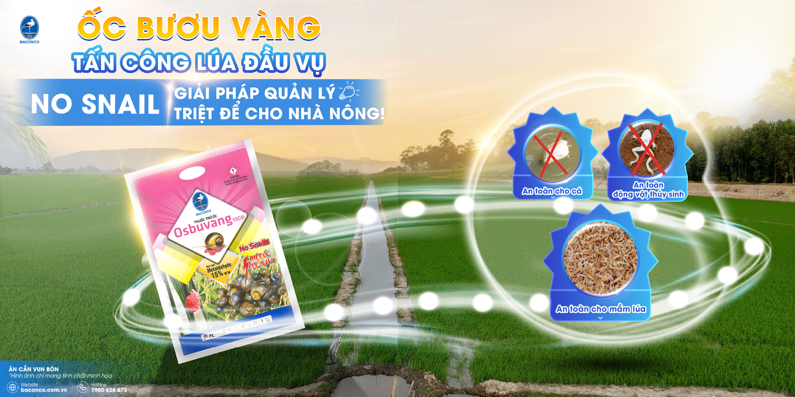 News - Baconco Việt Nam